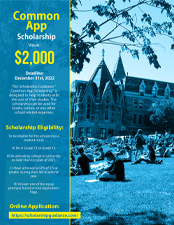 Common App Scholarship Application